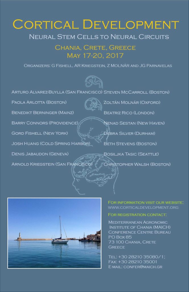 Cortical Development Conference - Stem Cells Lab